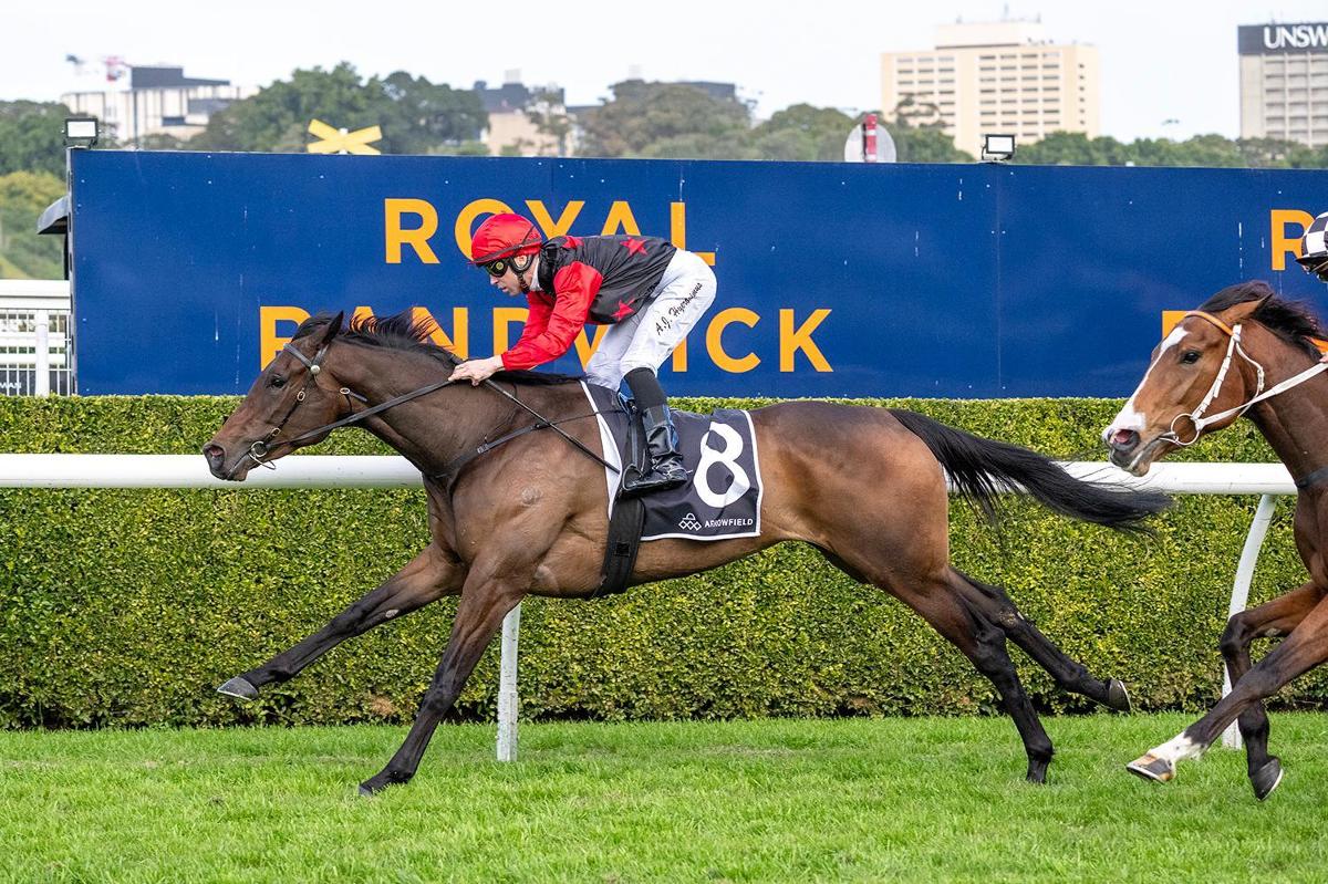 Playing By The Rules