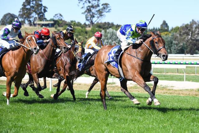 Home | Patrick Kearney Racing