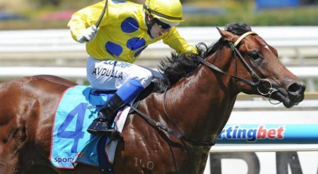 Runners & Weekend Winners