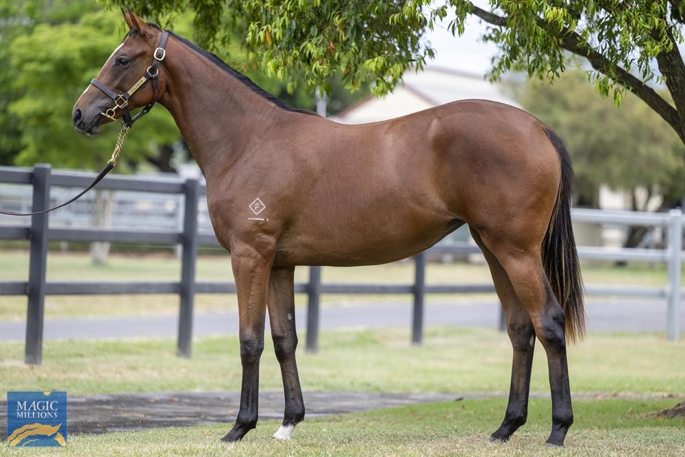 Sidestep x Jouer Le Jeu