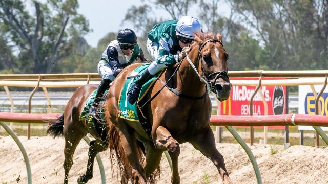 Home | Michael Travers Racing