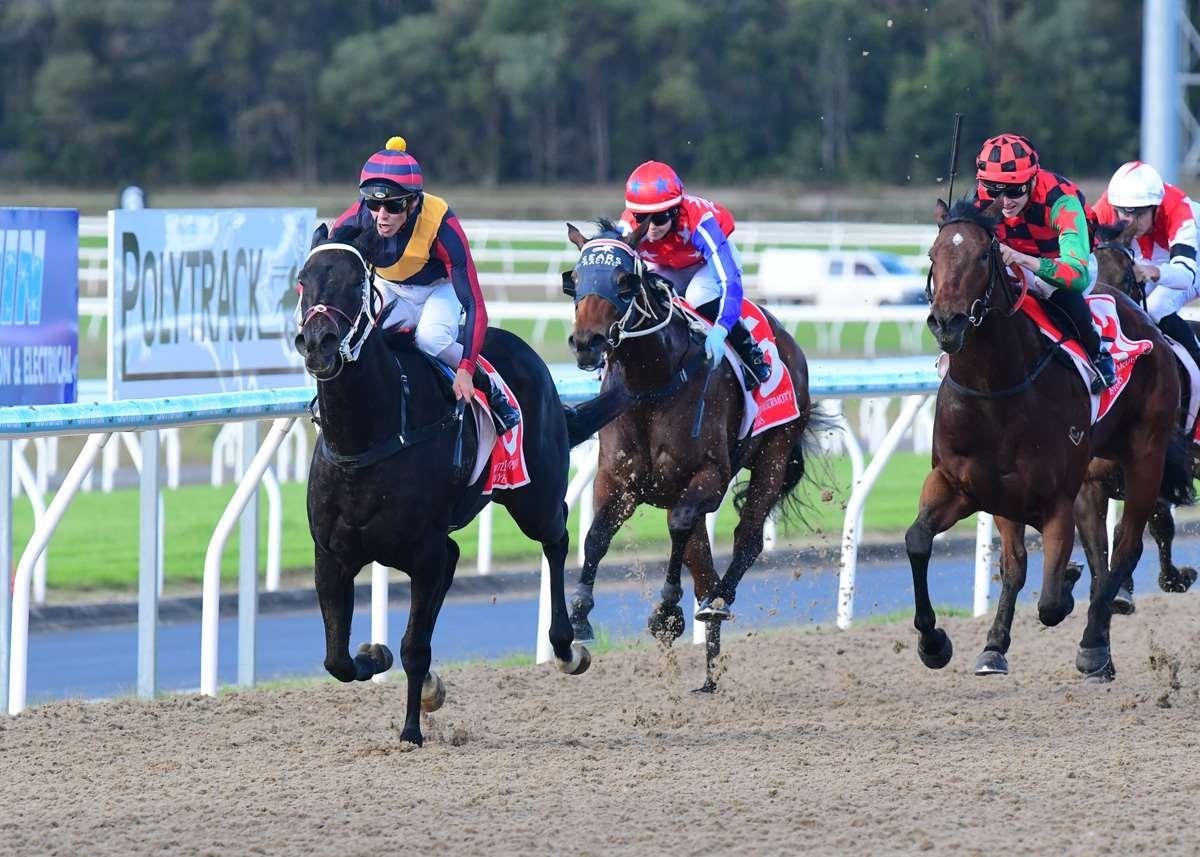 BLUE KENTUCKY MOON WINS ON DEBUT FOR MORRISON RACING