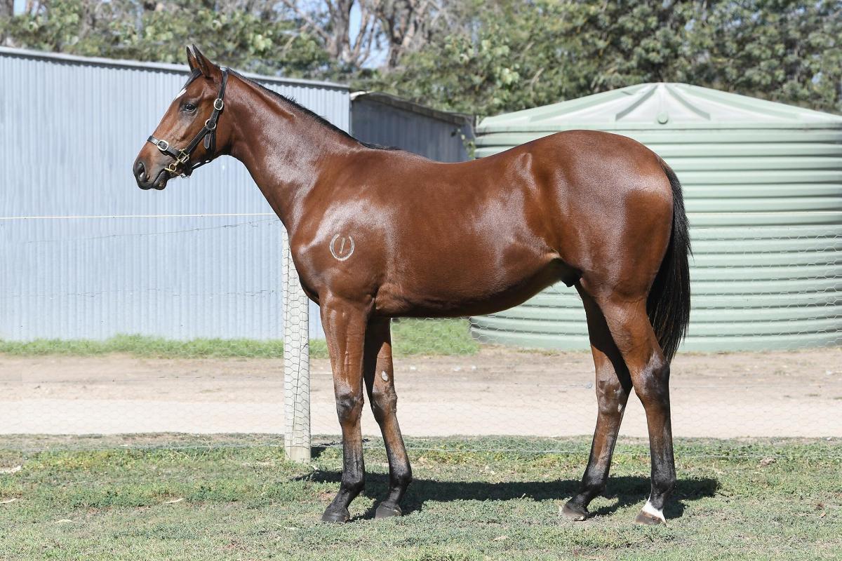 Overshare / Magical Slice