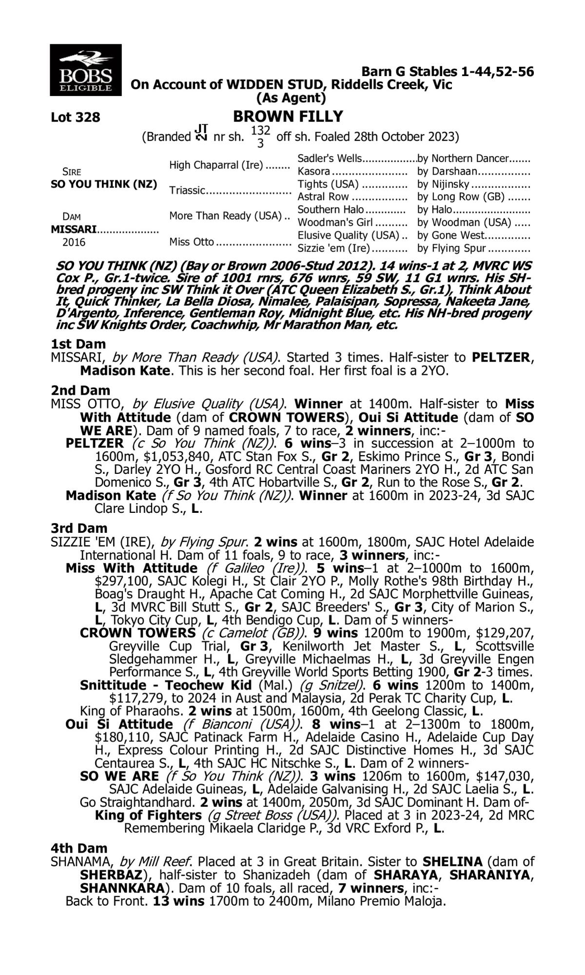 So You Think x Massari '23 Filly (Thoroughbred)