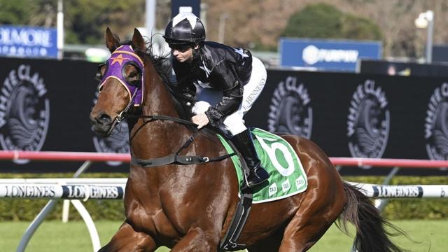 Home | Michael Travers Racing