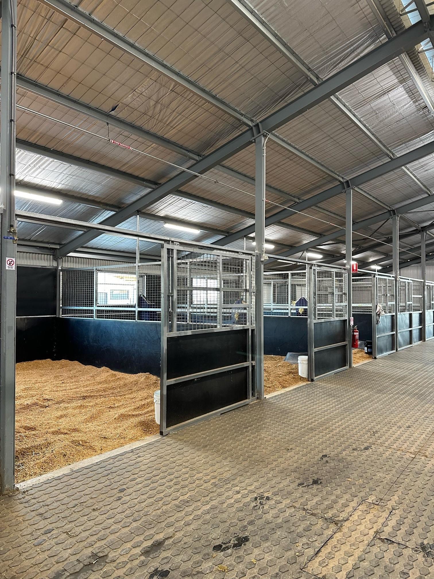 About | Stephen Theodore Racing