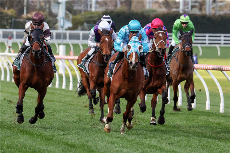Racing Preview - 08/03/25