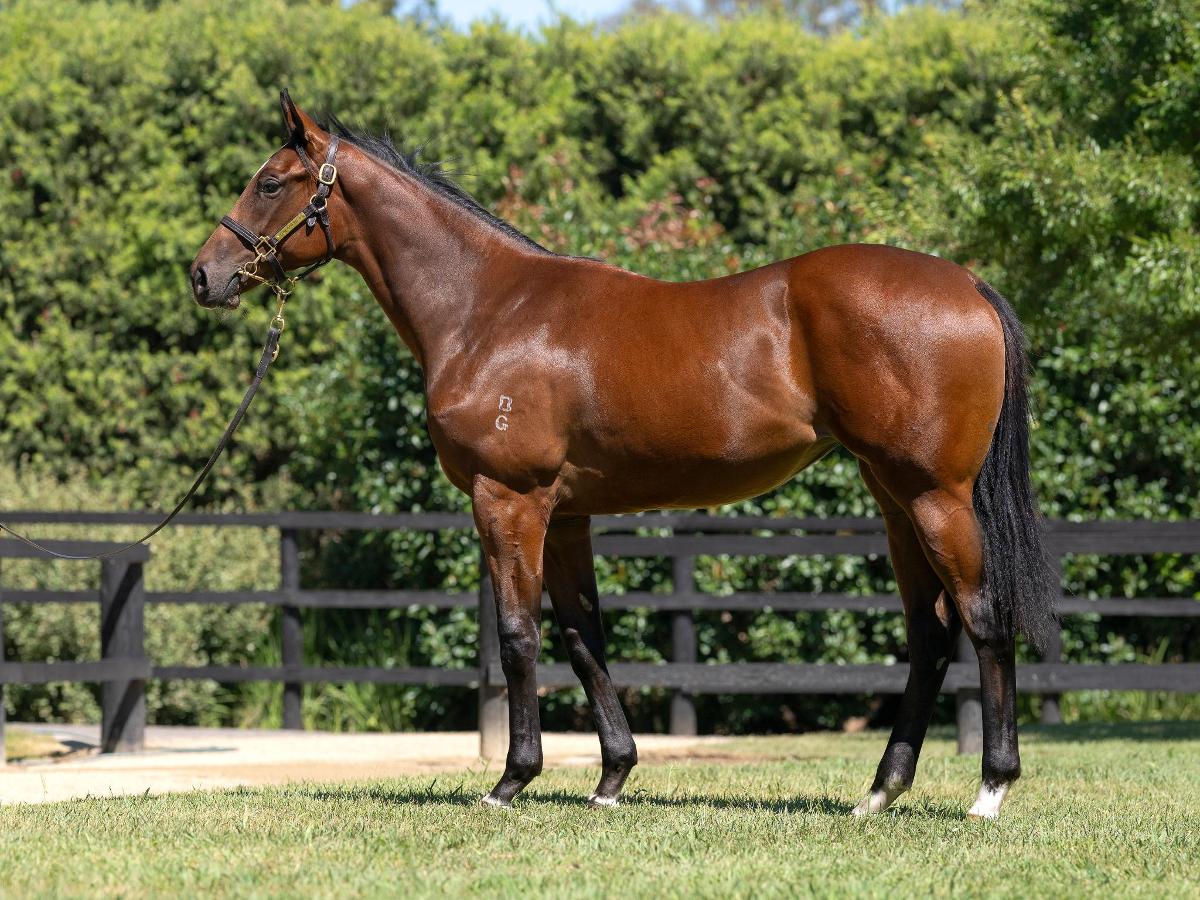 Alabama Express x Honey Esprit