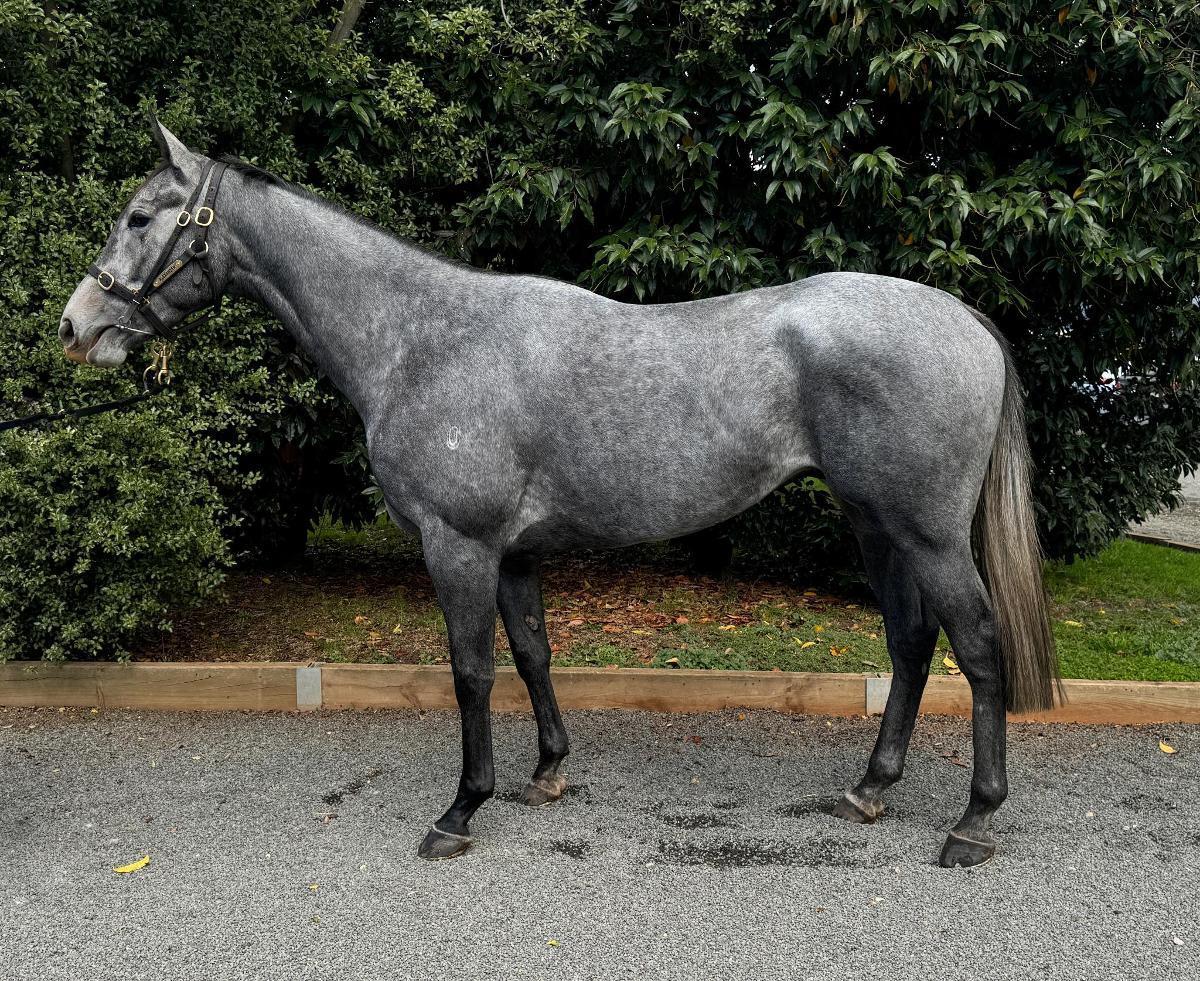 Racing Preview - 08/09/24