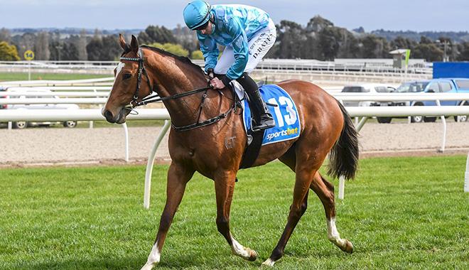 Racing Preview - 29/04/25