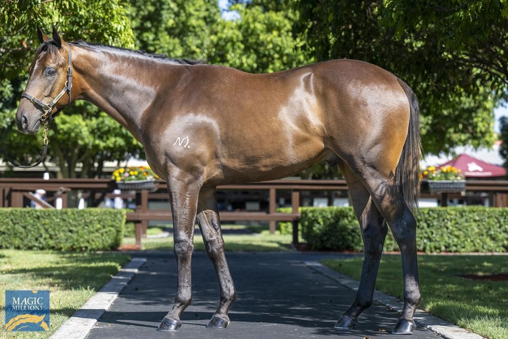 Dubious x Schemel '21