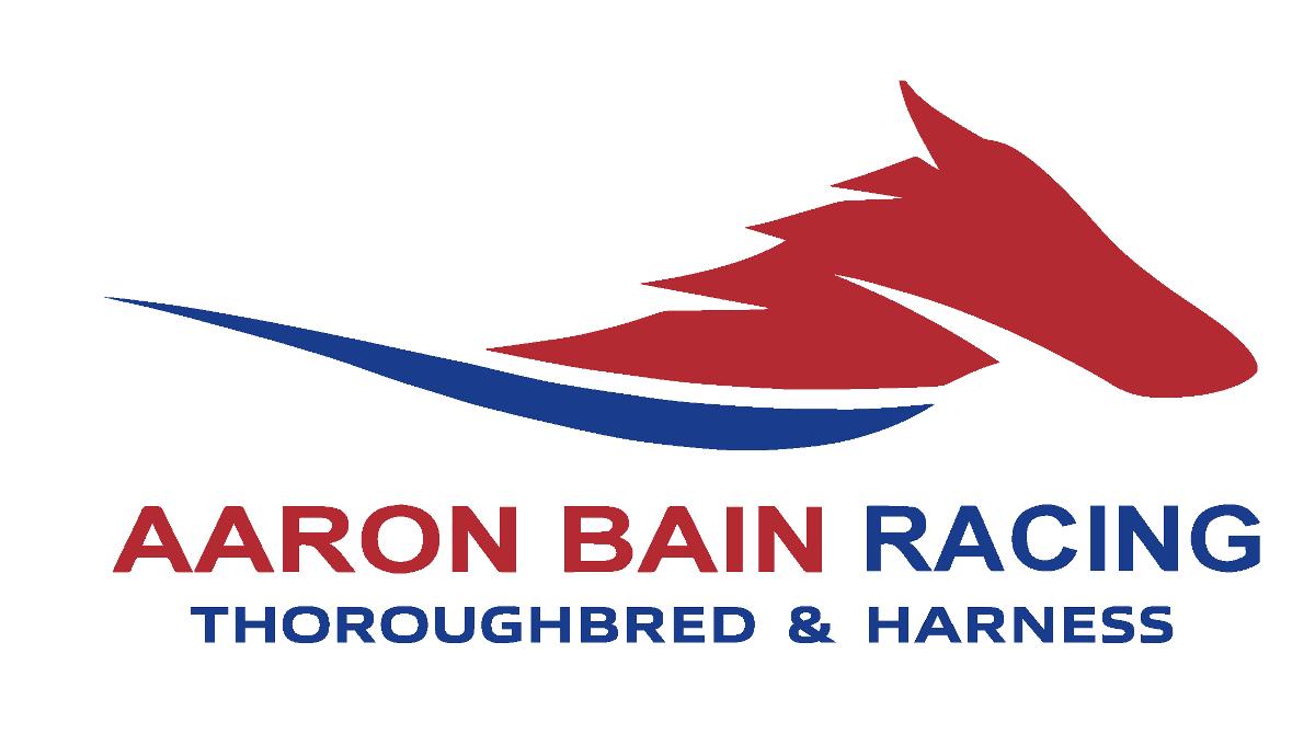 Lizzie Shelby (Harness) (Feature)