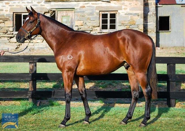 Home | Aaron Bain Racing