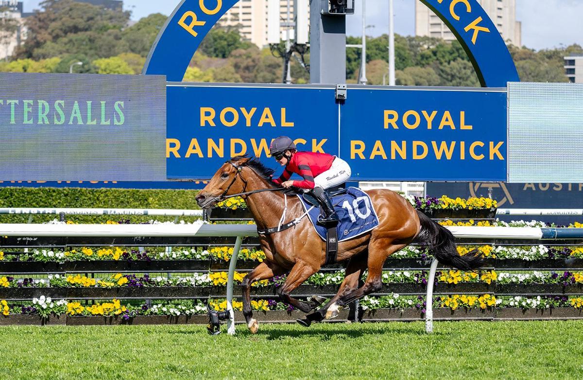 Playing By The Rules